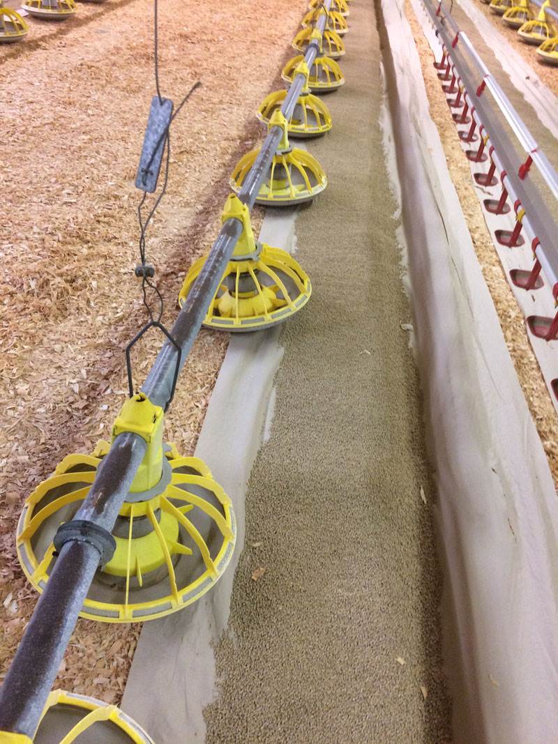 Photo Gallery - Chick Paper | Kandco Envosave Ltd