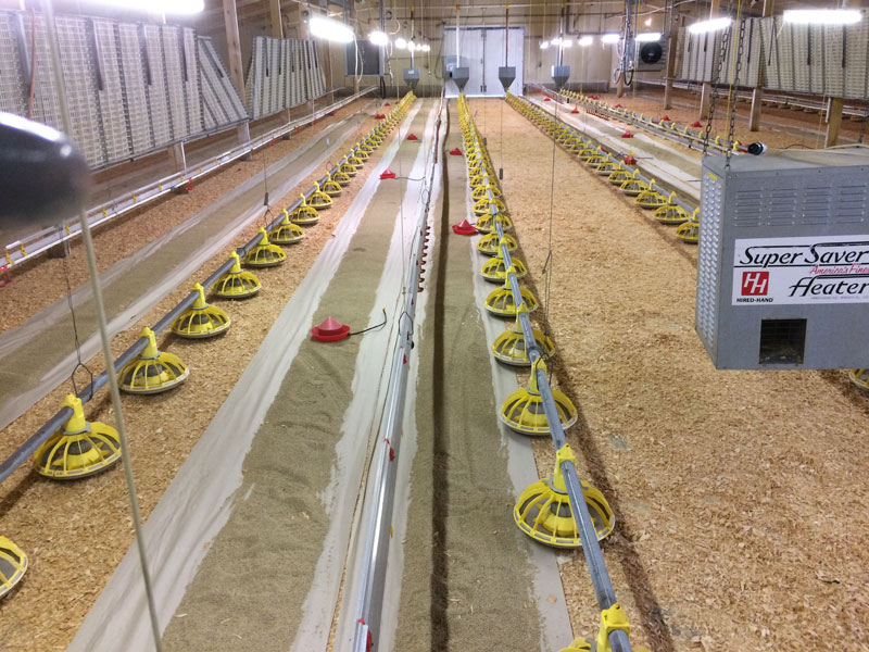 Photo Gallery - Chick Paper | Kandco Envosave Ltd